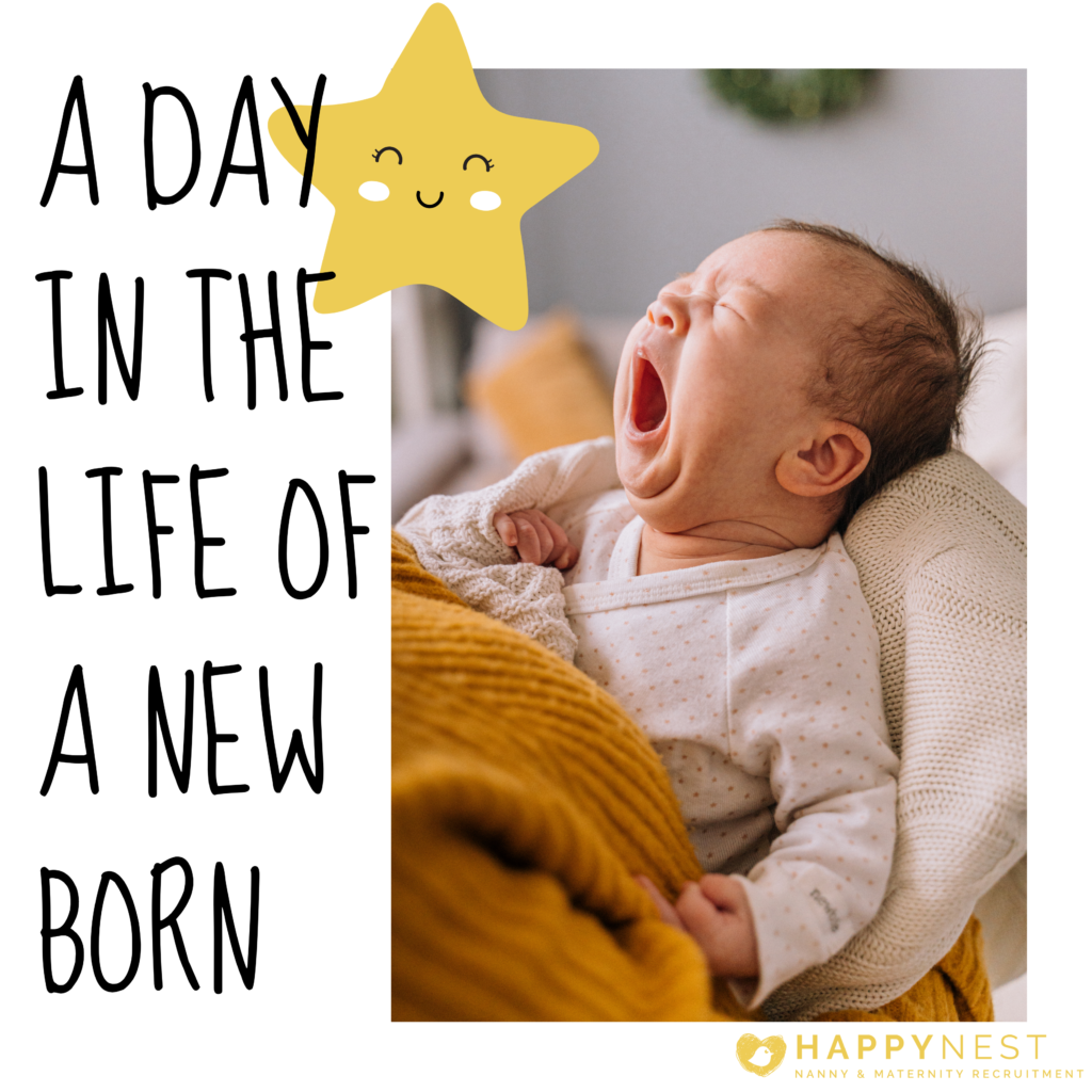 A day in the life of a new born - Happy Nest