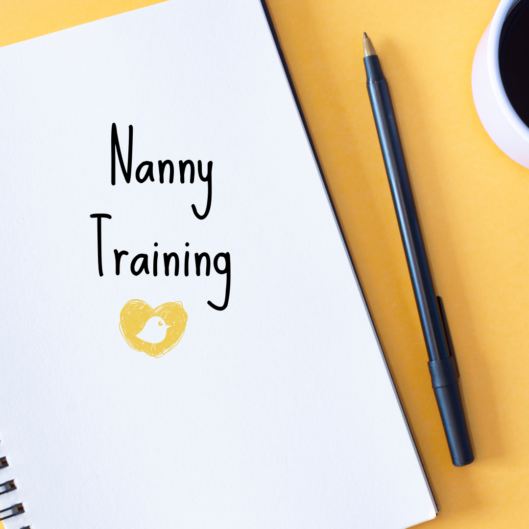 Staying Ahead in Your Nanny Career: Why CPD Enhanced Training